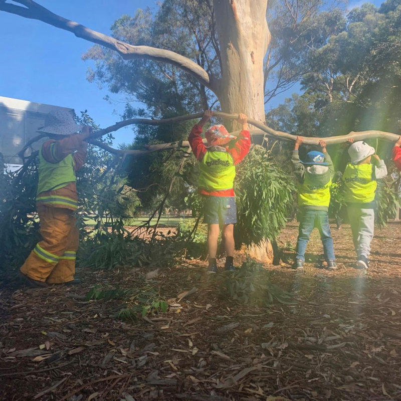 Hughesdale - Enrol Now | Buckets ELC